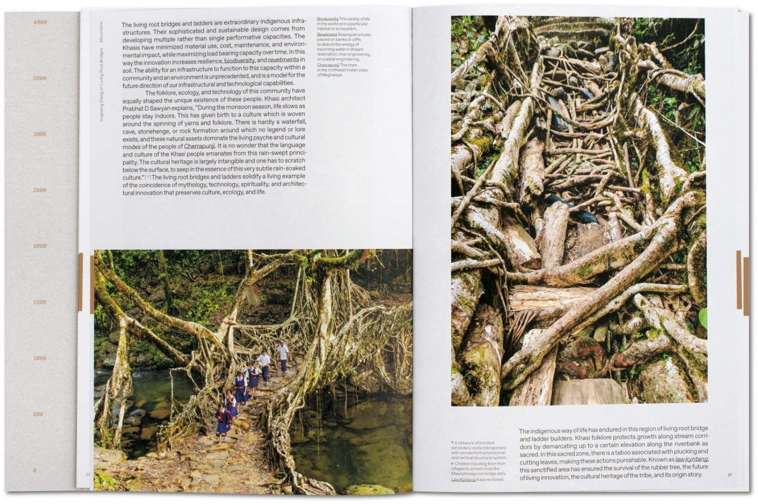 World Book Day: Learning about making | dRMM Architects