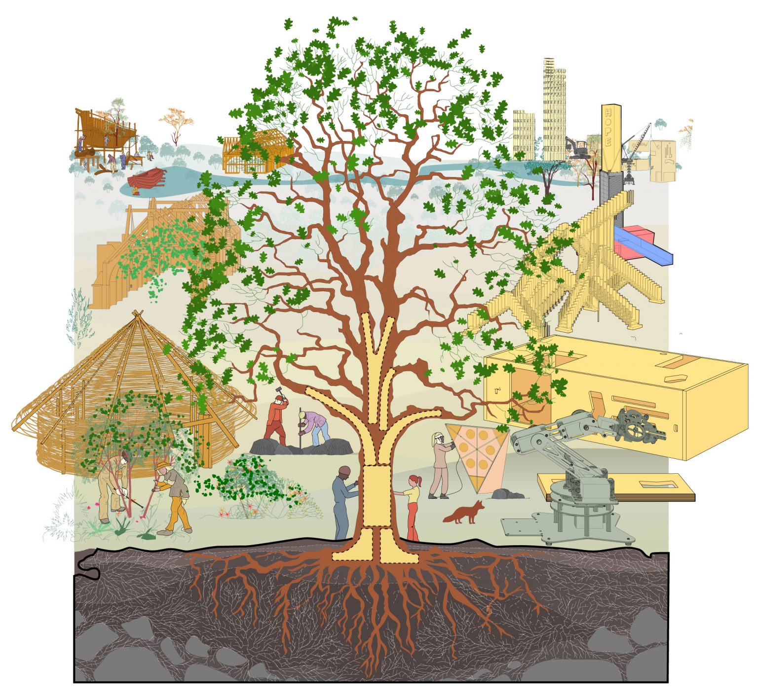 Treelogy, Part II: The Tree and Timber | dRMM Architects