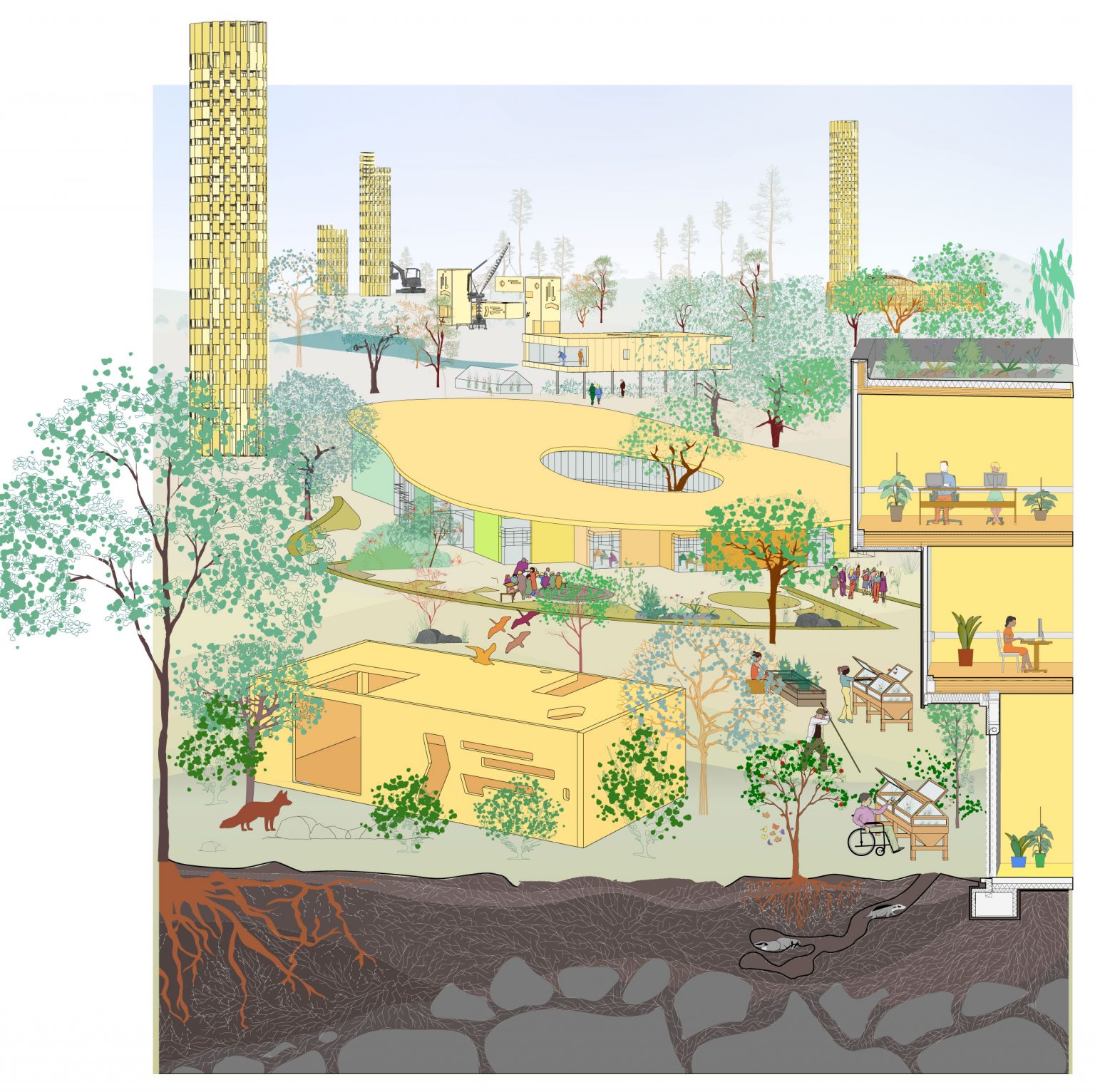 Treelogy, Part III: The Urban Forest | dRMM Architects